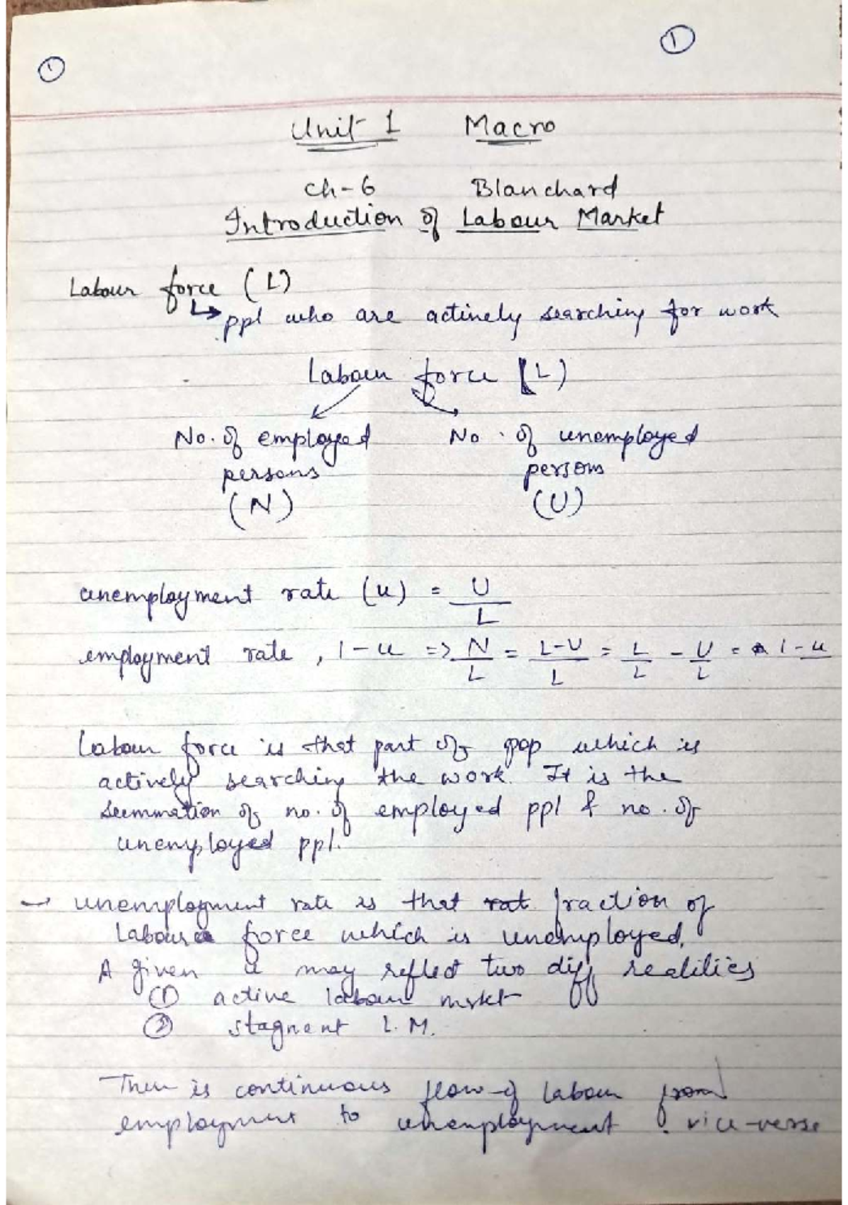 Macro 1: Labour Market Overview and Wage Determination Notes - Studocu
