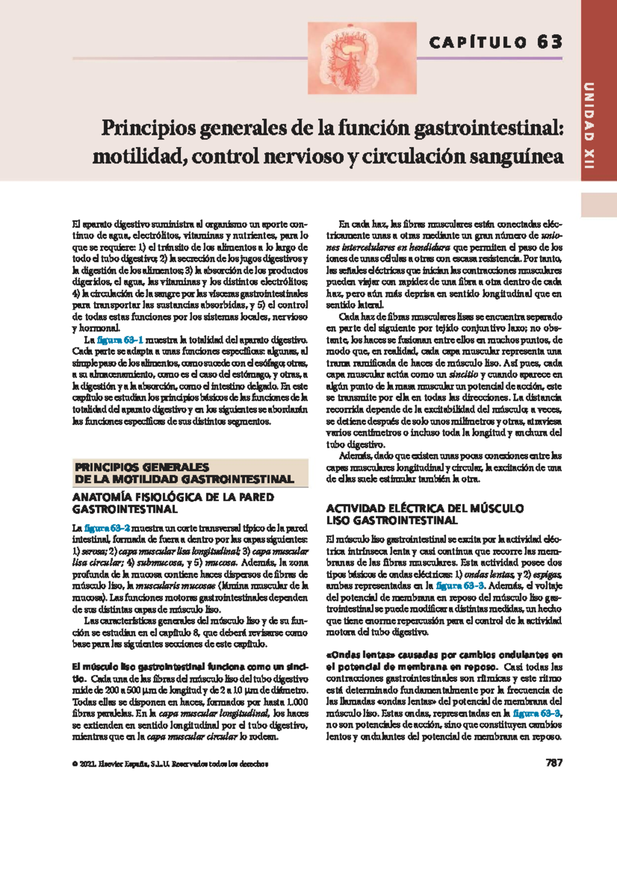 Guyton Y HALL Tratado DE Fisiología Médica 14 Edición-808-853 - 787 U N ...