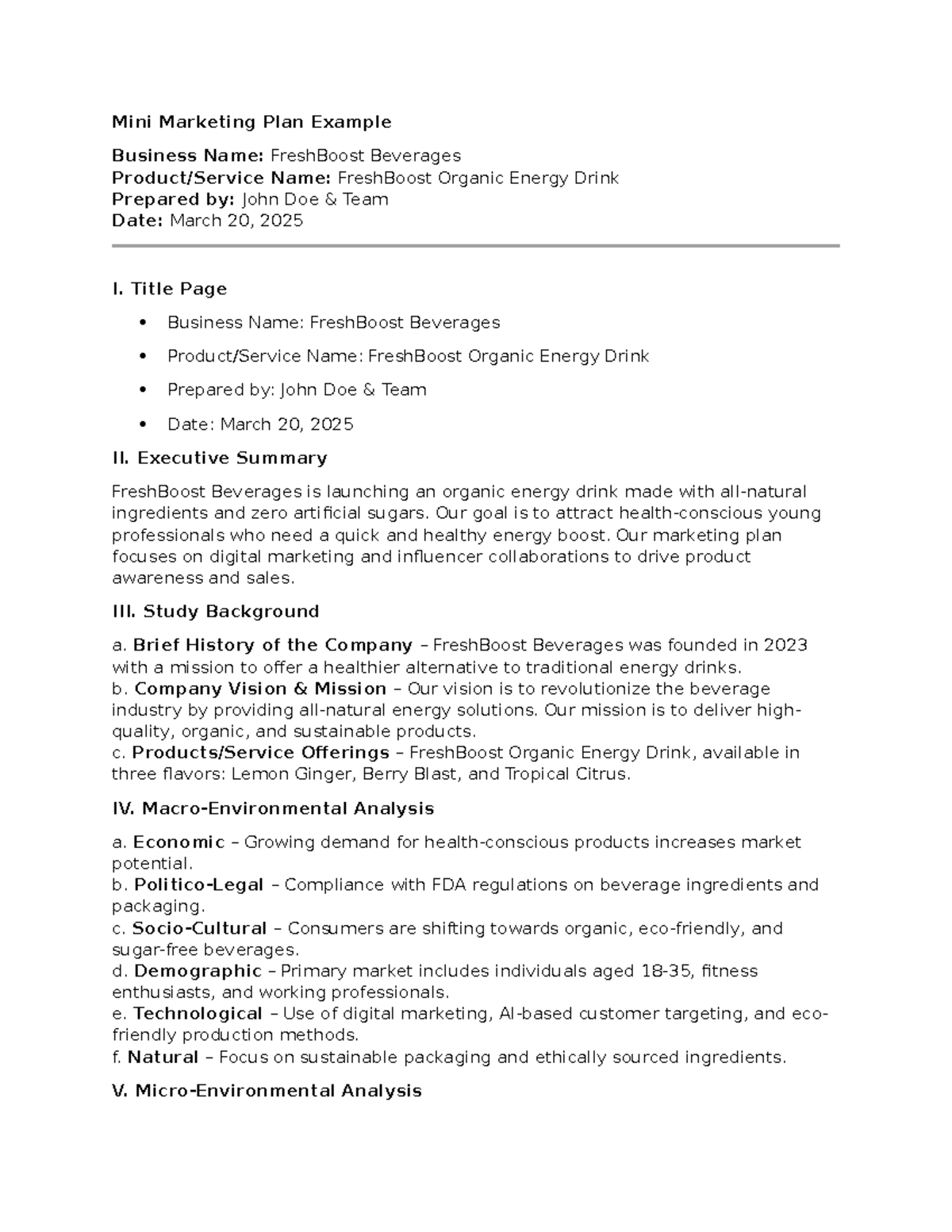 Principles mini mktg plan format - Mini Marketing Plan Example Business ...