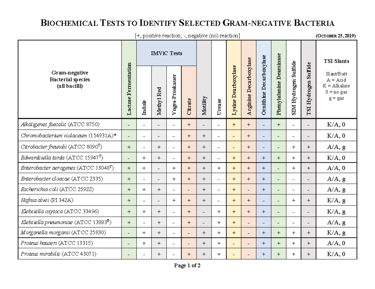 BIO 101: Biochemical Tests for Gram-Negative Bacilli (2019) - Studocu