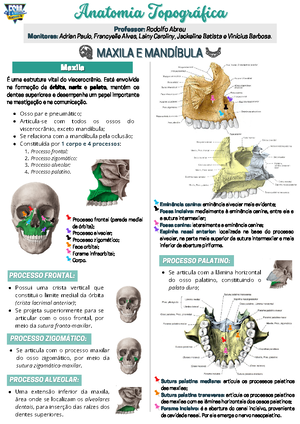 ANATOMIA DA CAVIDADE ORAL - ANATOMIA DESCRITIVA DA BOCA - ANATOMIA DA ...