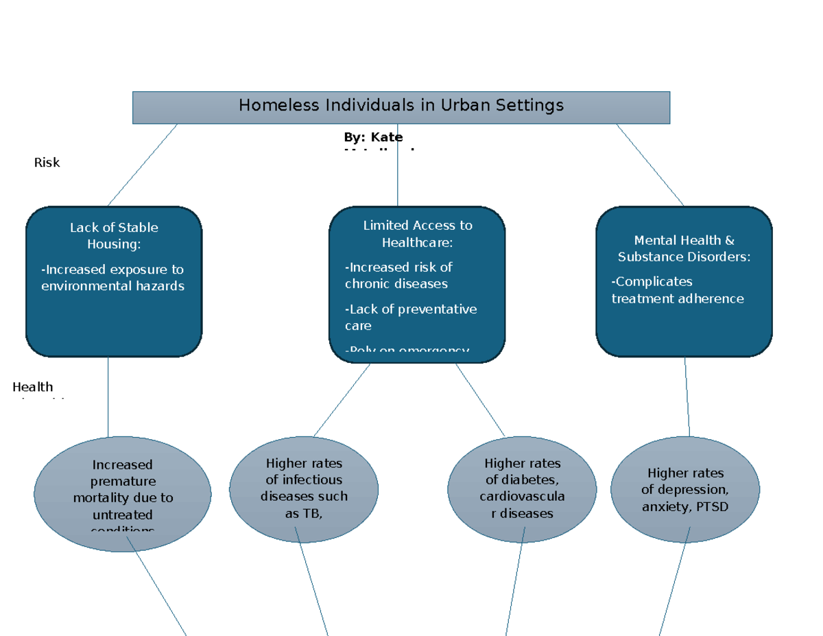 NR586 Concept Map: Risk Factors for Homeless Individuals in Urban Areas ...
