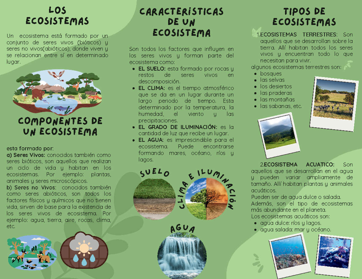 Ejercicio De Qu Es Un Ecosistema Tipos De Ecosistemas Ecosistemas