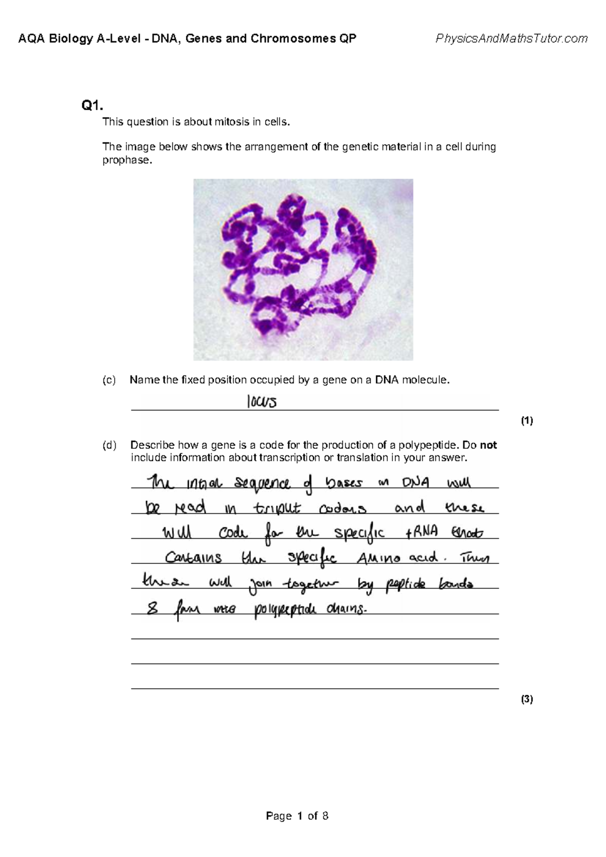 AQA Biology 4.1 DNA, Genes and Chromosomes QP Exam Notes - Studocu