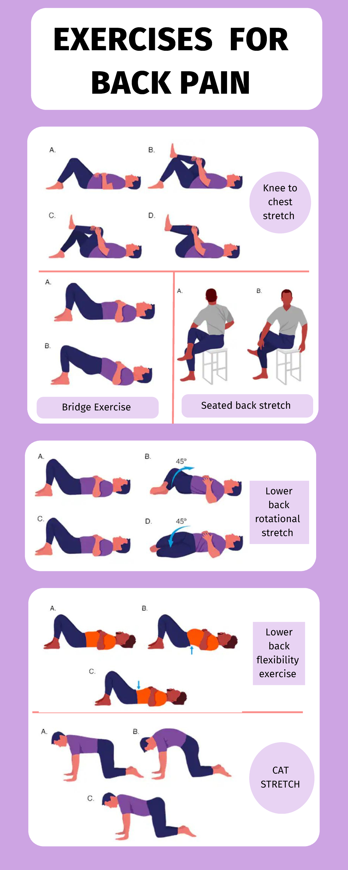 Exercise for back pain - Physiotherapy - Knee to chest stretch Bridge ...