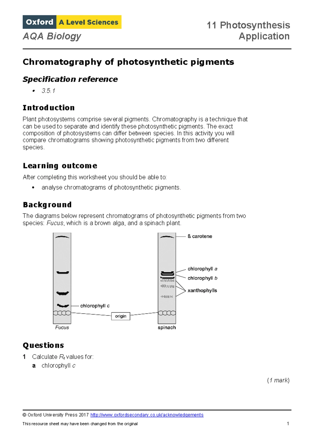 CPAC 7 - Practical on Thin Layer Chromatography of Plant Pigments - Studocu