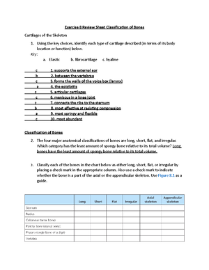 Spinalcord - NAME ___________________________________ LAB TIME/DATE ...