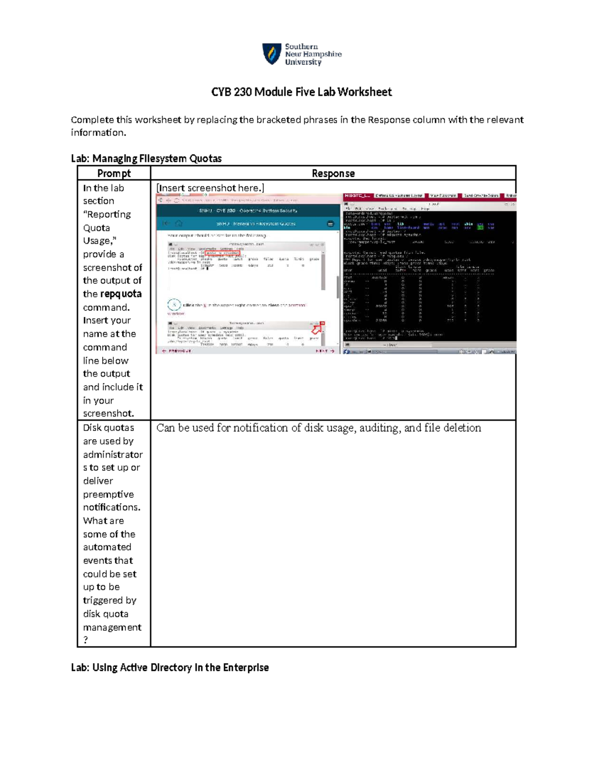 CYB 230 Module 5 Lab Worksheet: Filesystem Quotas & Active Directory ...