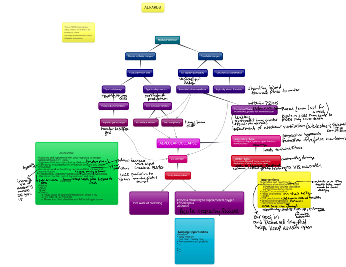 ALI-ARDS - Concept map - Thurman, (2018). Acute respiratory distress syndrome. In G Morton K ...