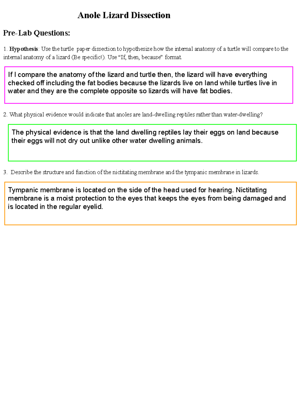 Copy of Lizard Dissection Pre-Lab - Anole Lizard Dissection Pre-Lab ...