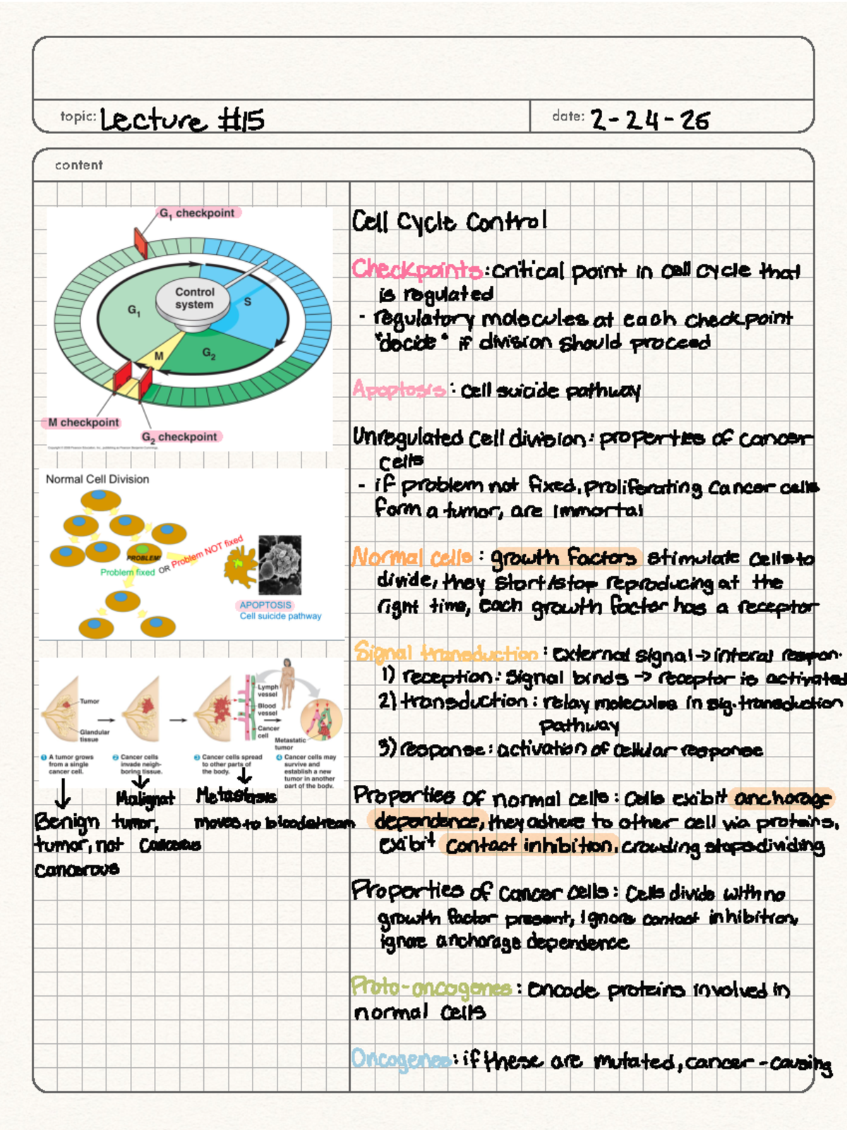 Lecture Notes on Cellular Respiration and Related Biochemical Processes ...