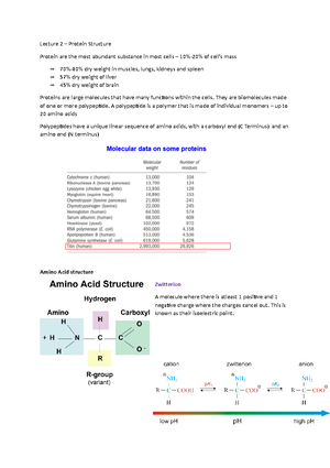 [Solved] What is Vo Vi Ve and Vt and how do i figure them out and What ...