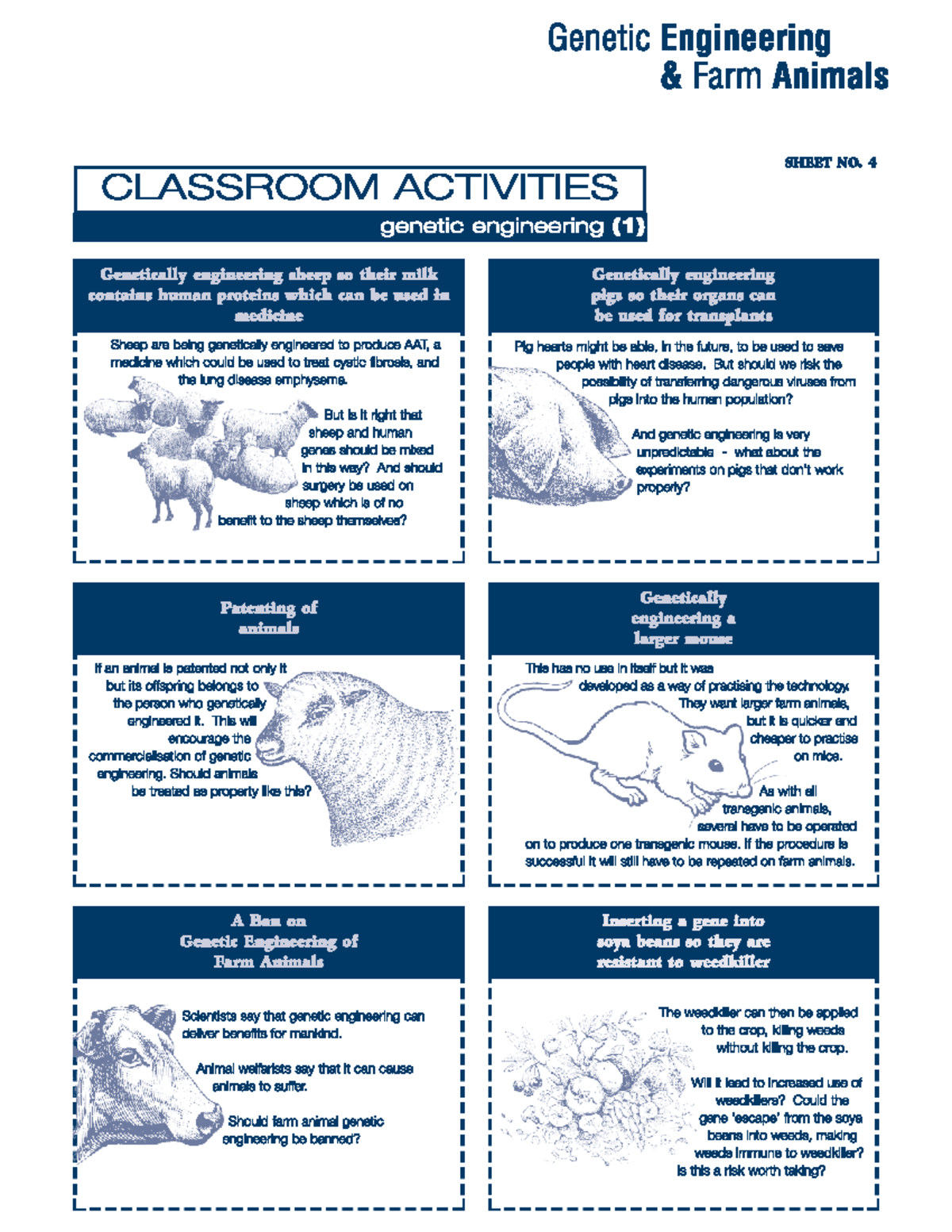 Genetic Engineering & Selective Breeding Cards - Genetic Engineering ...