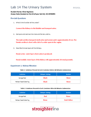 Module 5 Reflection Assignment - Explain the anatomical concepts associated with skeletal ...