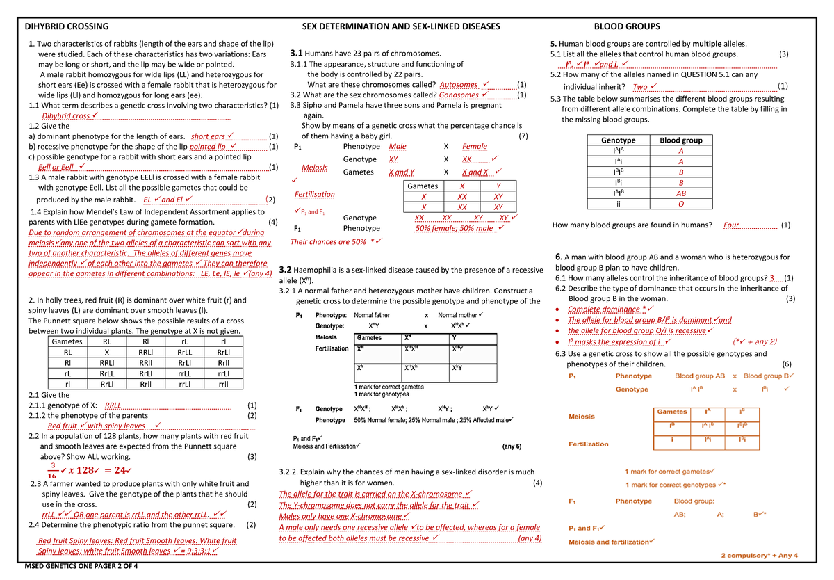 MSED GENETICS 1-PAGER: DIHYBRID CROSSES & BLOOD GROUPS EXPLAINED - Studocu