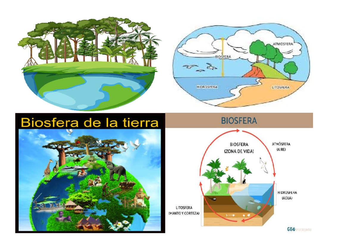 Biosfera y sus Componentes: ATMOSFERA, HIDROSFERA, LITOSFERA - Studocu