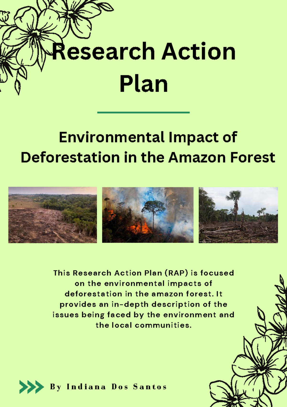 Geography Assessment Task W5: Research Action Plan on Amazon ...