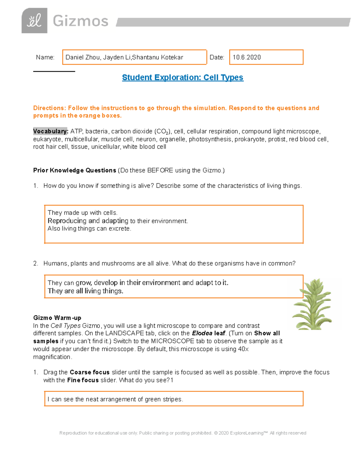 Cell Types SE - Biology Earth Science HW: Exploring Cellular Structures ...