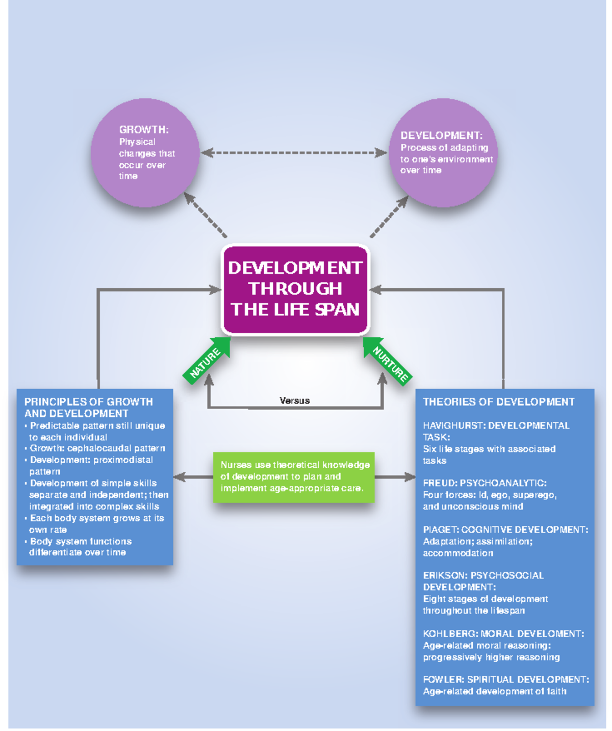 Development Through the Life Span: Theories & Principles of Growth ...