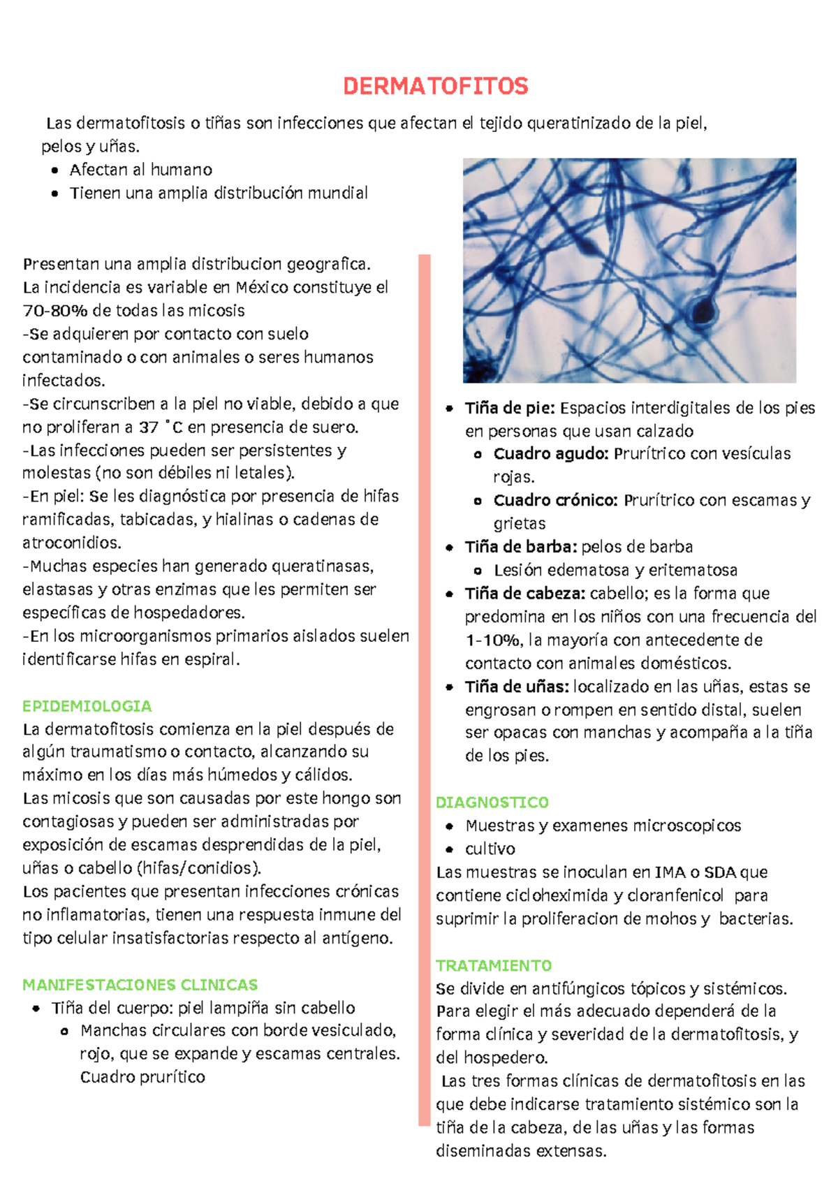 Dermatofitos y Pitiriasis: Estudio Completo sobre Infecciones Fúngicas ...