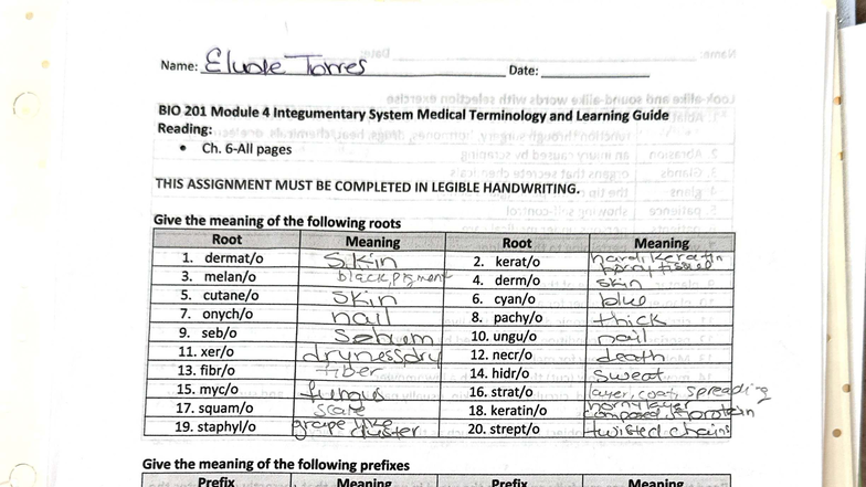 BIO 201 Module 4: Integumentary System Terminology Guide - Studocu