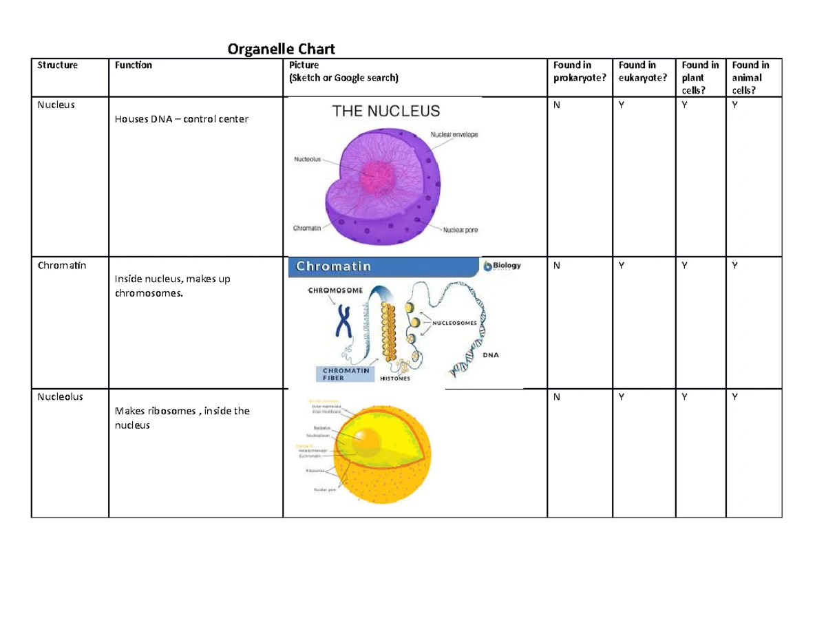 Ecological Succession Worksheet Key for Biology 101 - Studocu