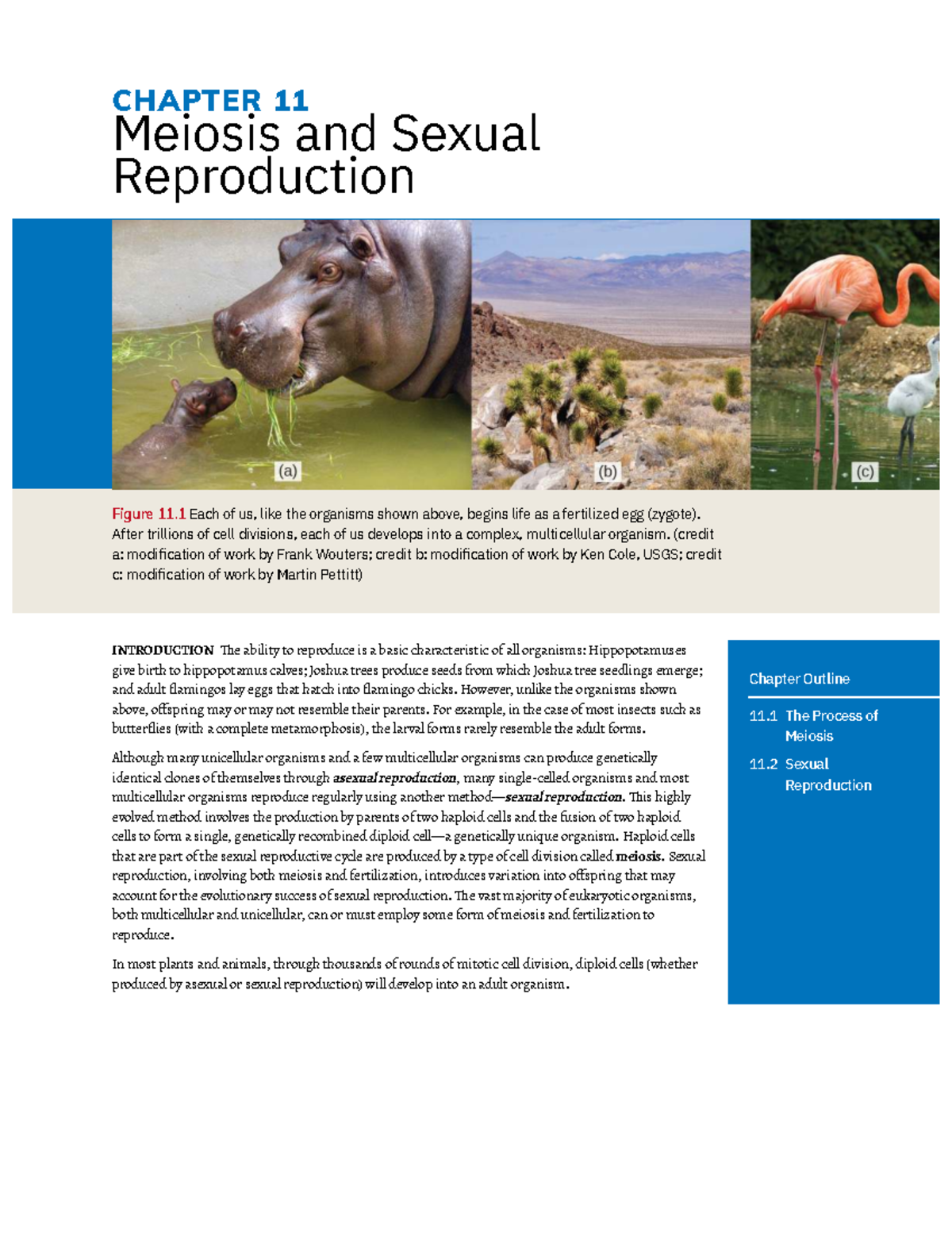 Chapter 11: Meiosis and Sexual Reproduction Overview (Biology 2e) - Studocu