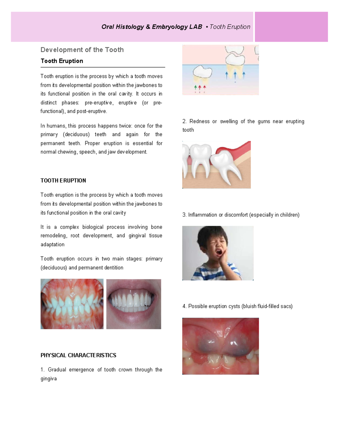 ESBC 210 Oral Histology Embryology LAB: Tooth Eruption Overview - Studocu