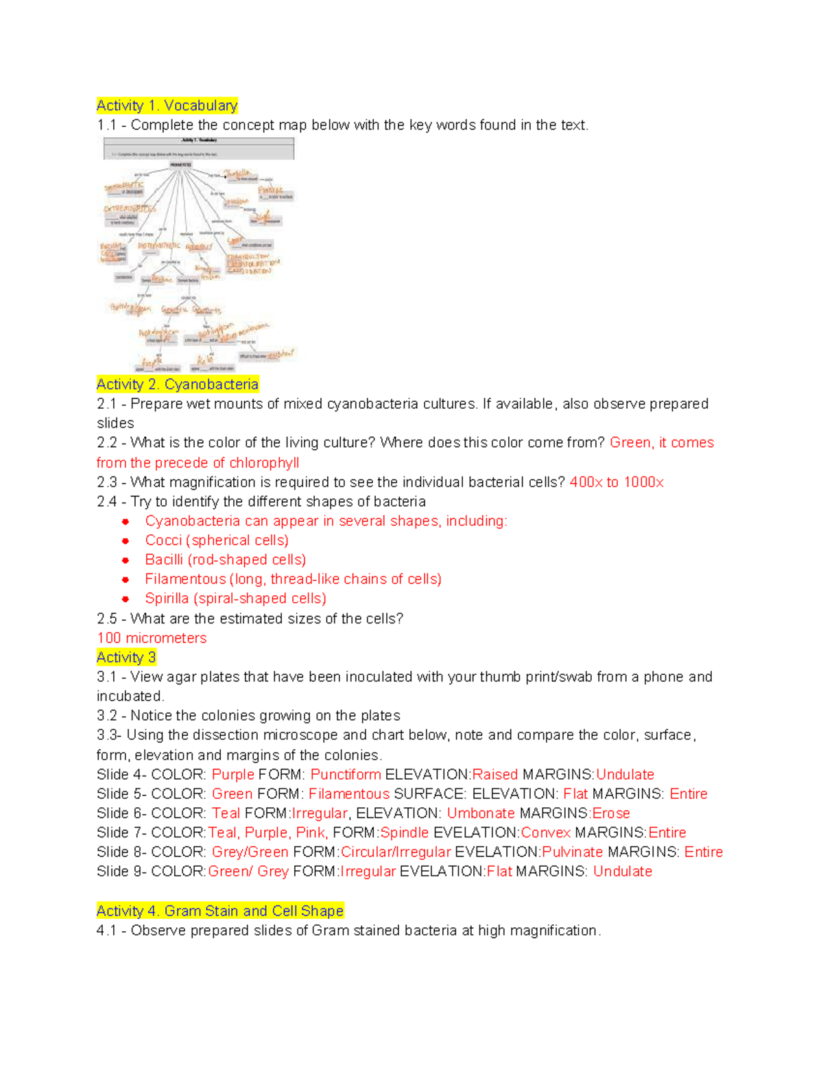 Lab Report: Bacteria and Protists Analysis (BIO101) - Studocu
