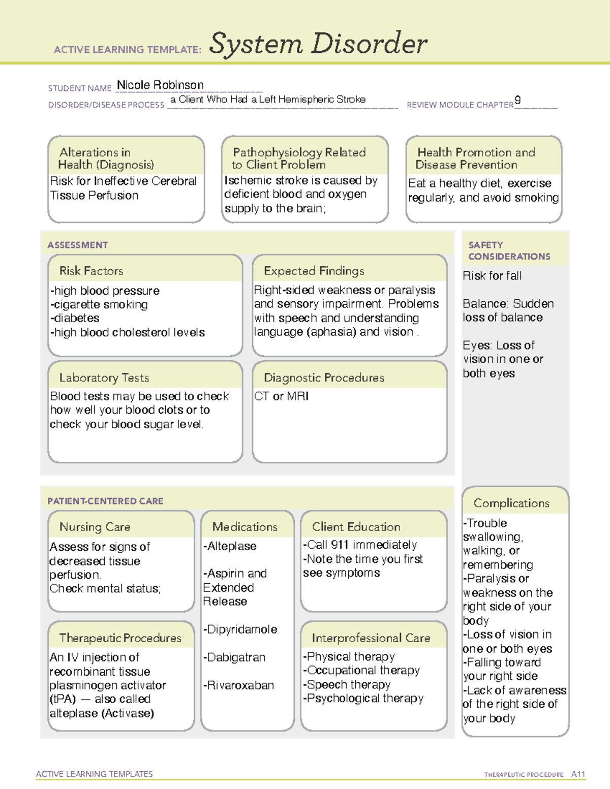 Care Planning for Client Post-Left Hemispheric Stroke - System ...