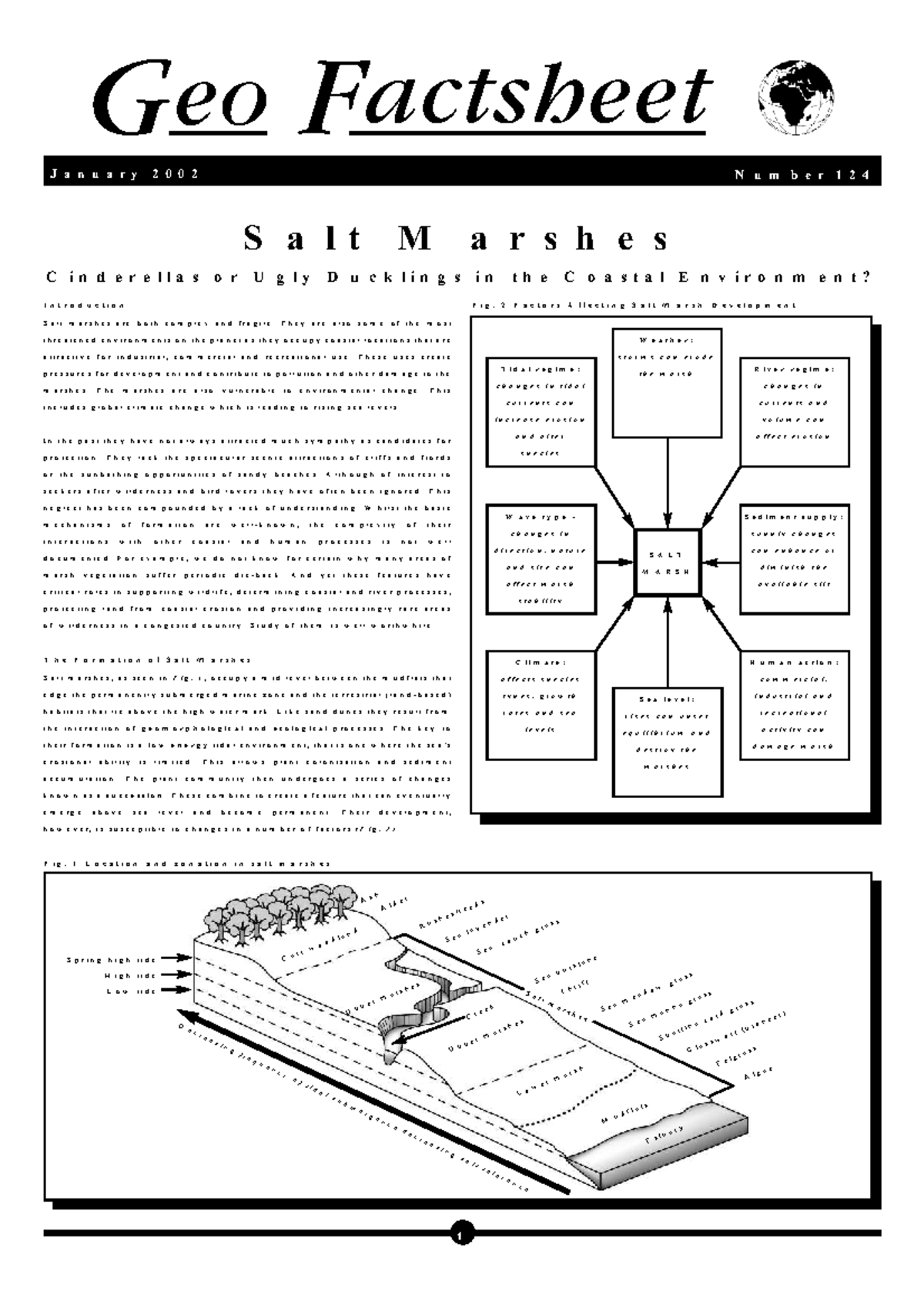 Salt Marshes: Ecosystem Dynamics and Conservation Strategies (Geo ...
