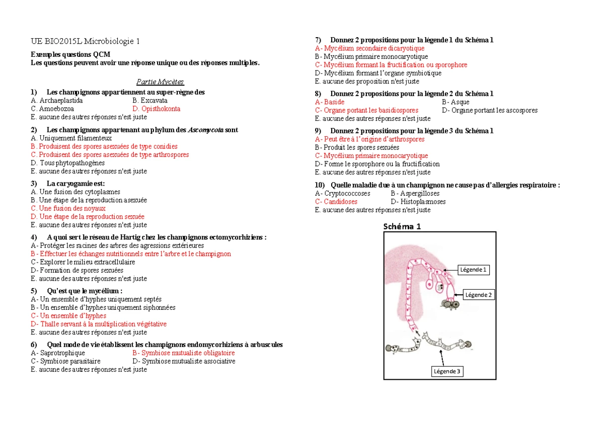 QCM - Exercices de QCM corrigés, aide pour les examens - Warning: TT: undefined function: 32 ...