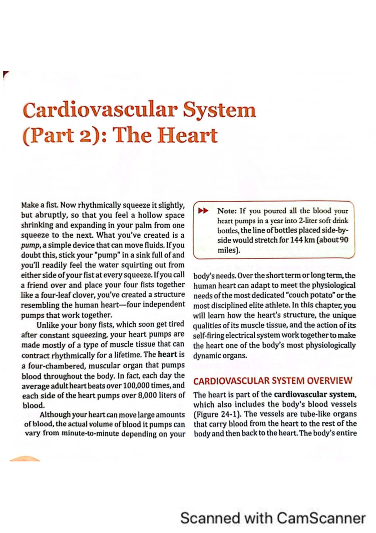 Cardiovascular System (Part 2): The Heart - Chapter Overview - Studocu