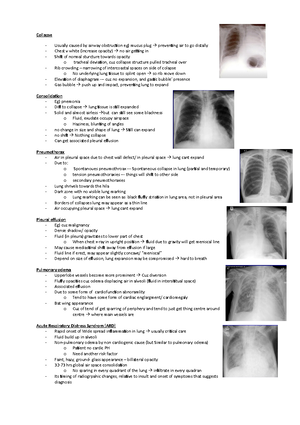 Muscle groups and compartments - Studocu