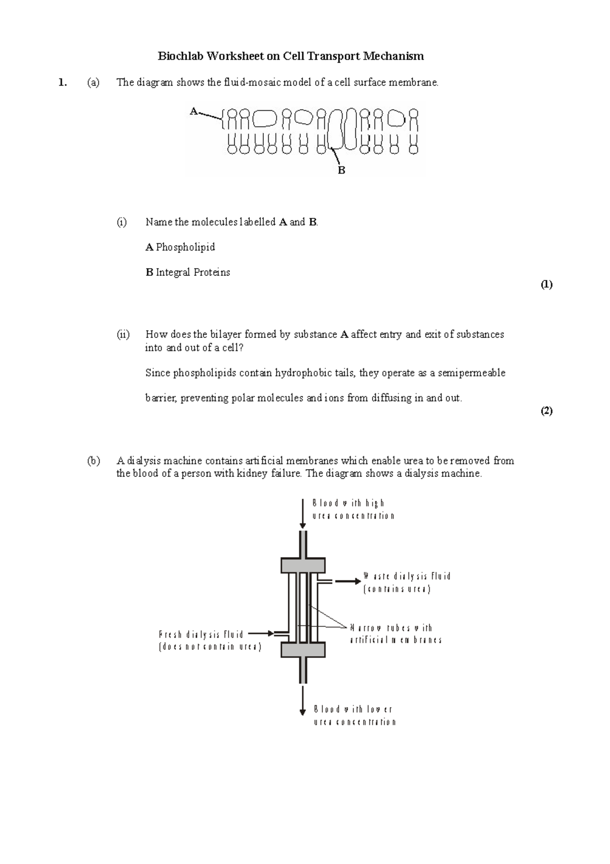 Cell membrane workesheet 1 - Biochlab Worksheet on Cell Transport ...