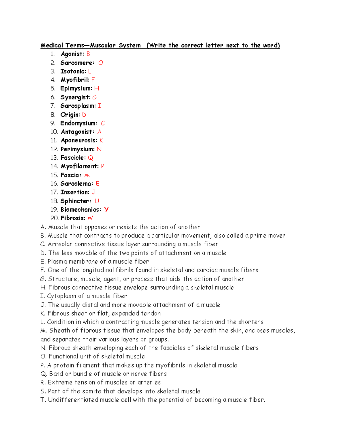 Medical Terms Worksheet: Muscle Anatomy and Functions - Studocu