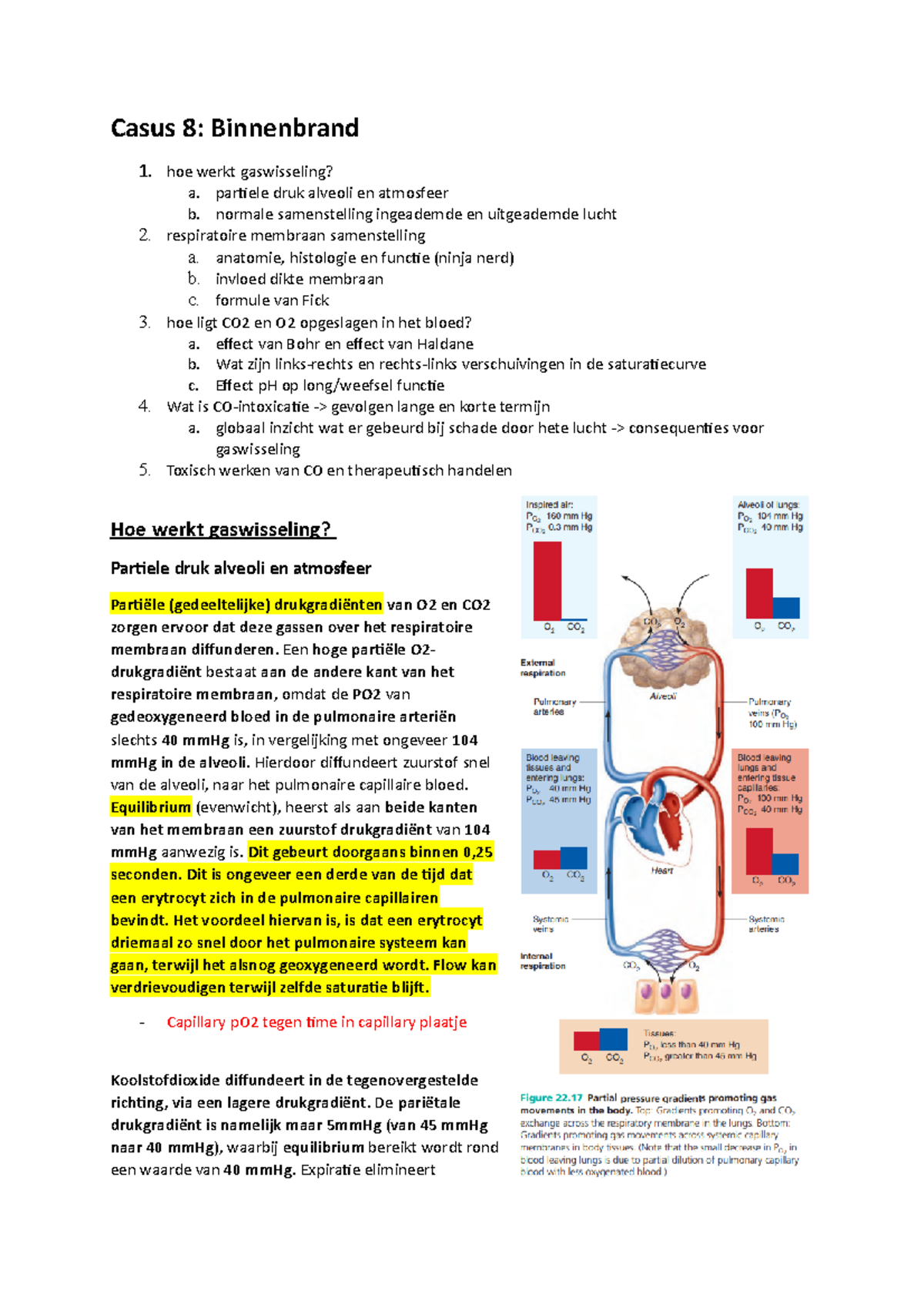 Casus 8: Gaswisseling en CO-intoxicatie in de Respiratoire Functie ...