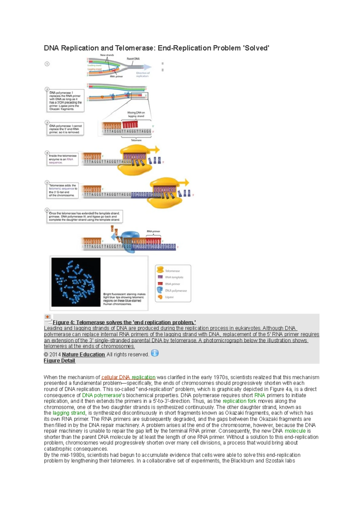 Grade 11 Life Sciences Revision Booklet 2025: Term 3 & 4 Guide - Studocu