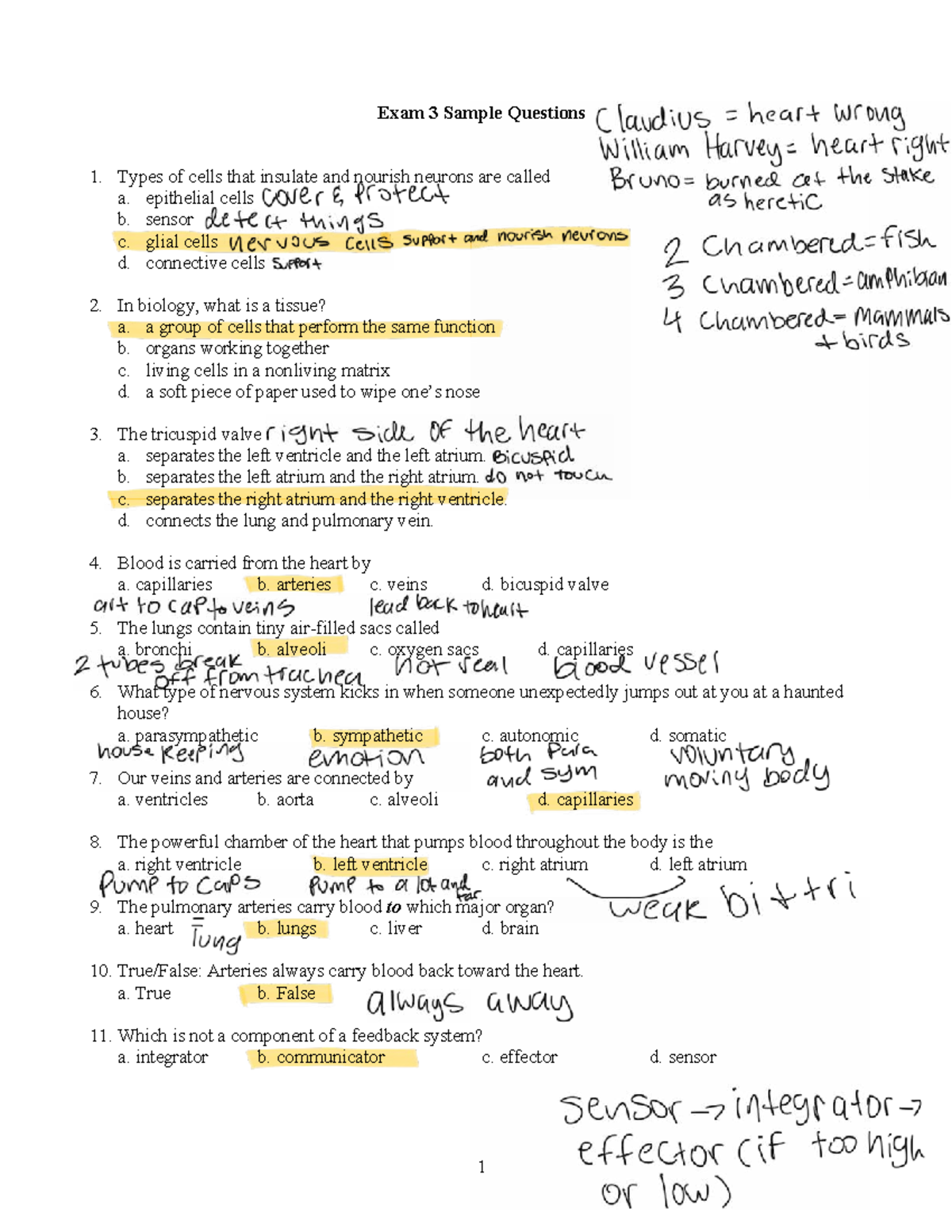 Exam 3 Sample Questions for Biology (BIOL101) - Studocu