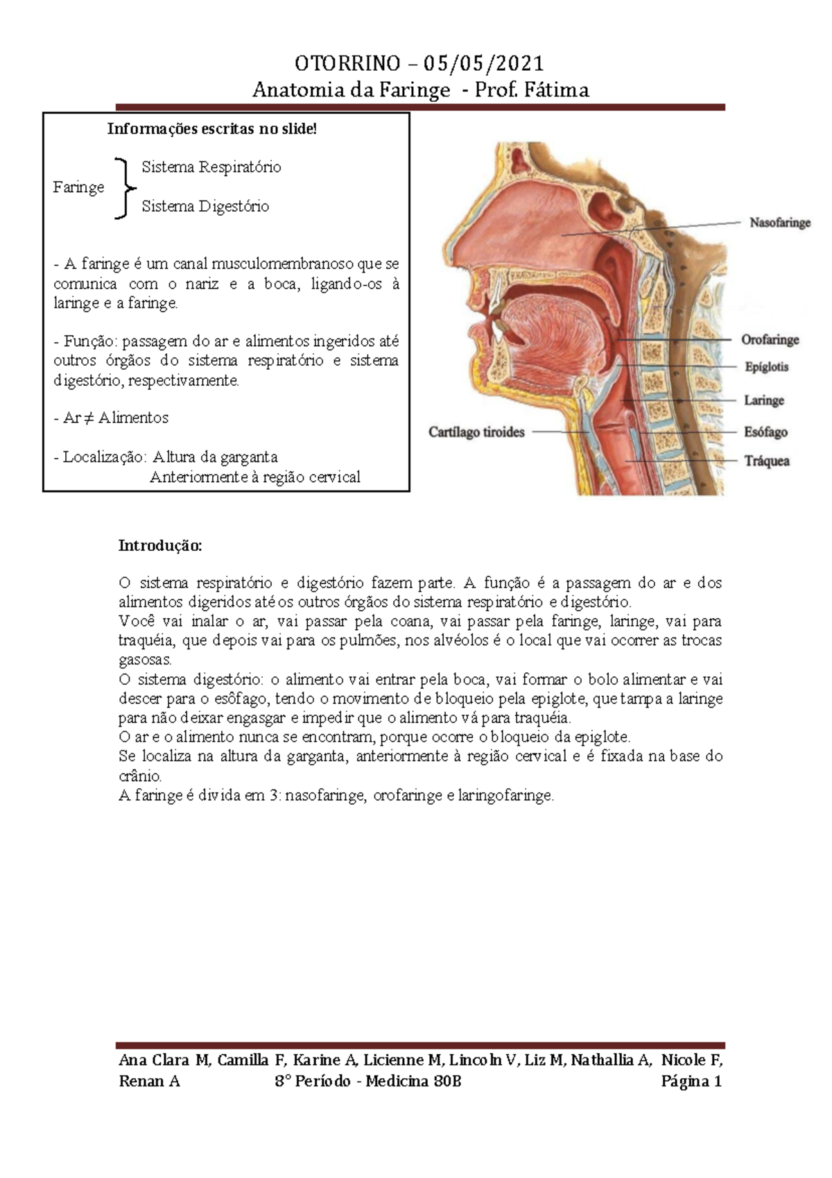 Anatomia da faringe pdf - OTORRINO – 05/05/ Anatomia da Faringe - Prof ...