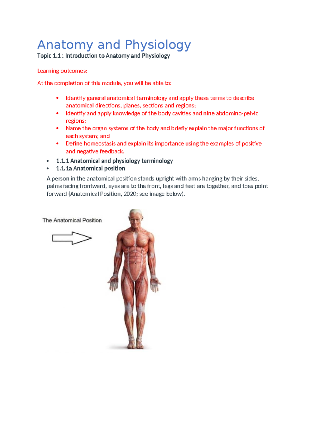 Anatomy and Physiology 1.1: Intro to Terminology and Body Systems - Studocu