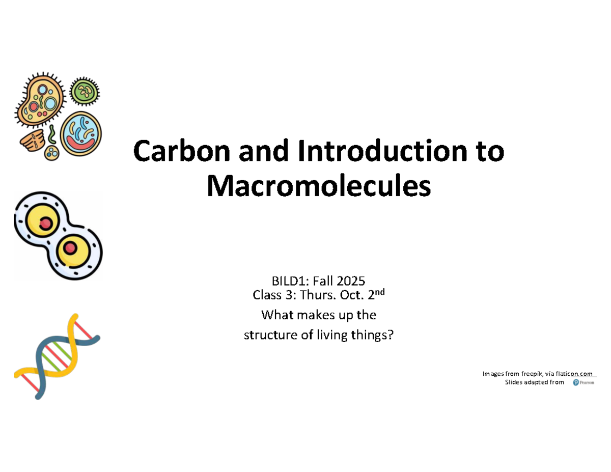 BILD1: Fall 2025 - Class 3: Carbon & Macromolecules Overview - Studocu
