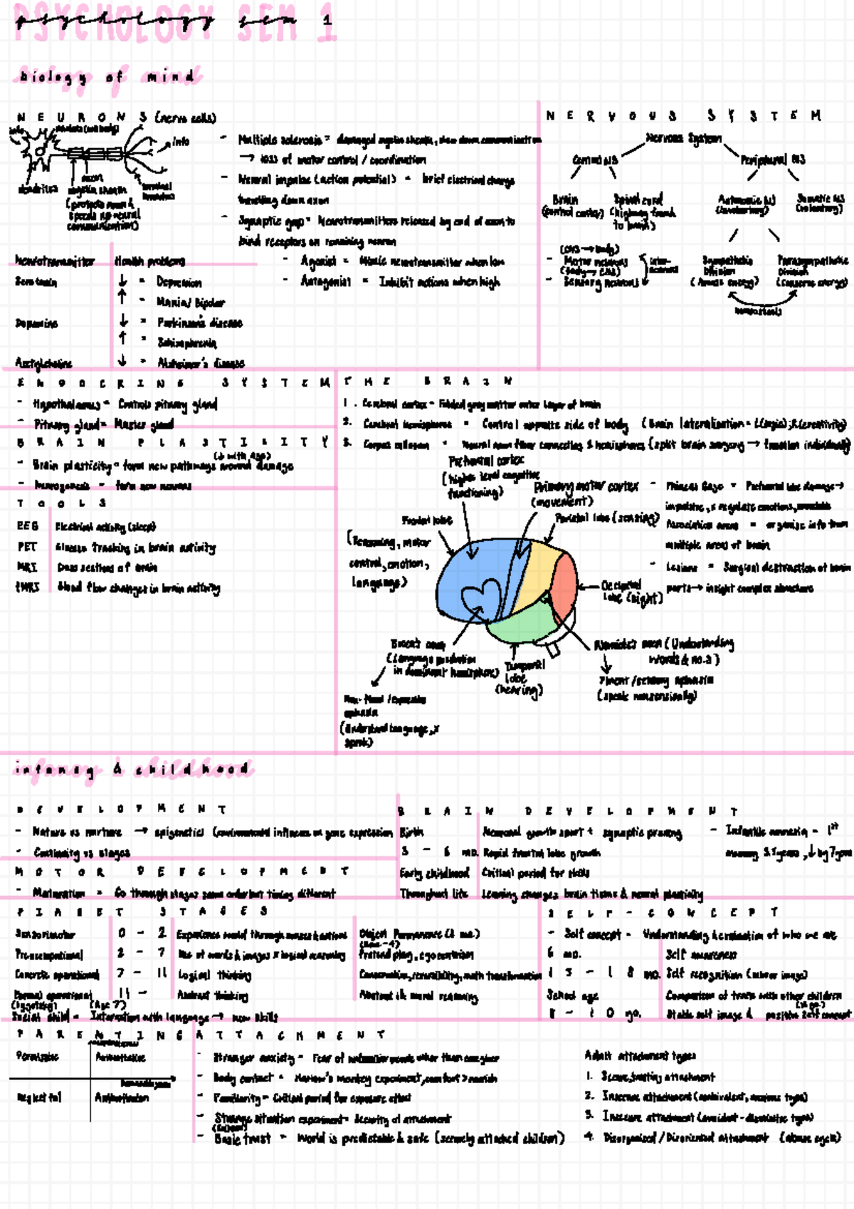 Psychology 1: Sem 1 Notes on Biology of Mind & Nervous System - Studocu