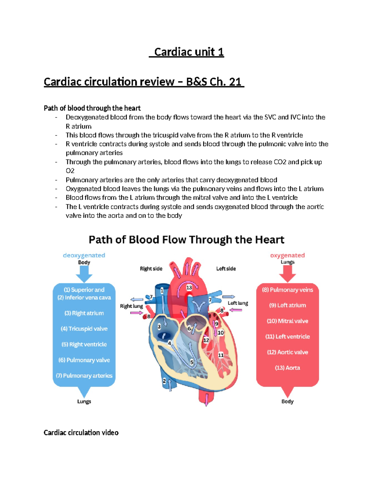 Cardiac Unit 1: Review of Circulation & Heart Failure Management ...