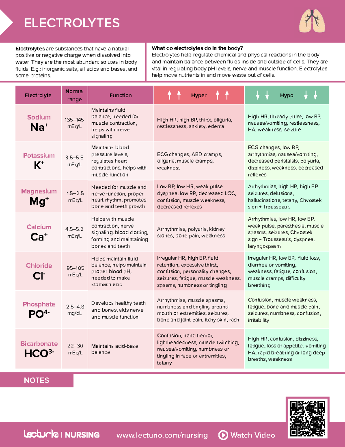 Nursing CS Electrolytes: Functions and Normal Ranges - Studocu