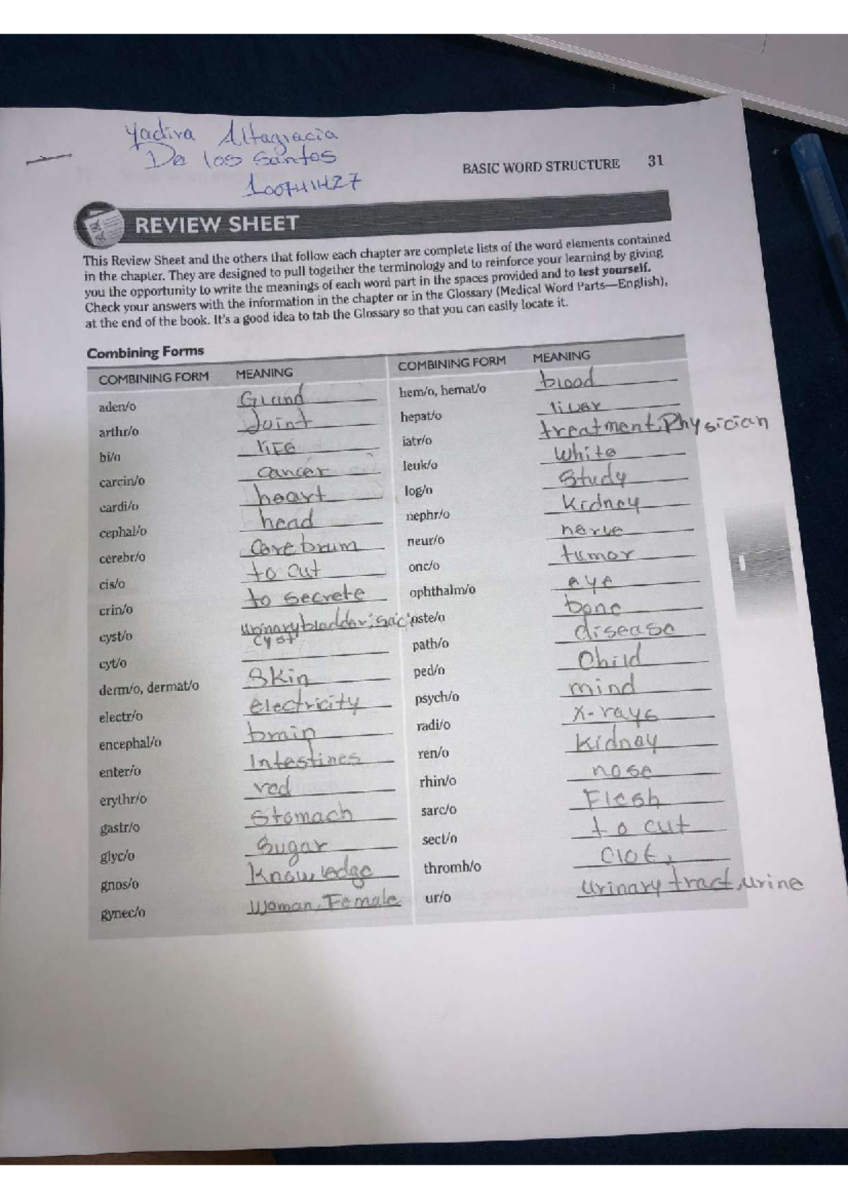 BASIC WORD STRUCTURE 31 REVIEW SHEET - Key Terminology Guide - Studocu