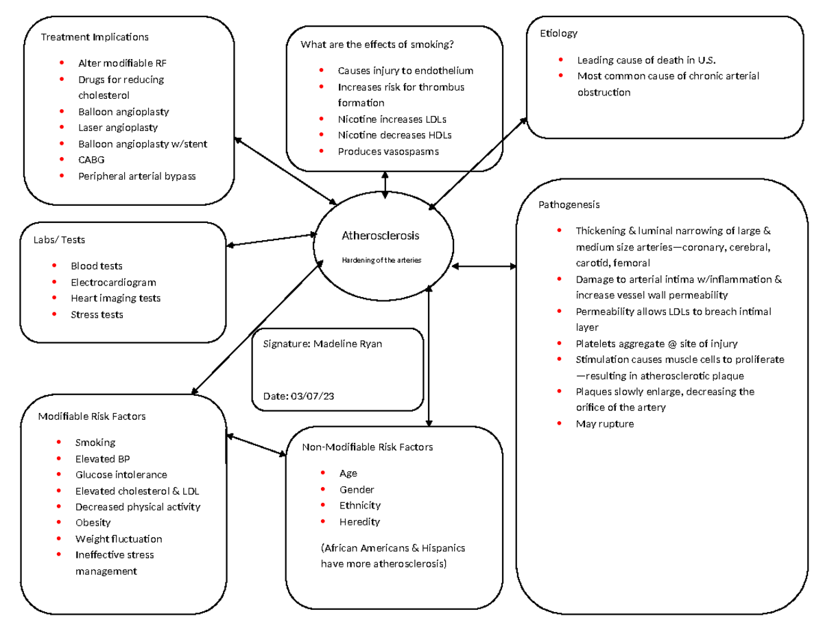 Atherosclerosis Concept Map: Causes, Risks, and Treatments Overview ...