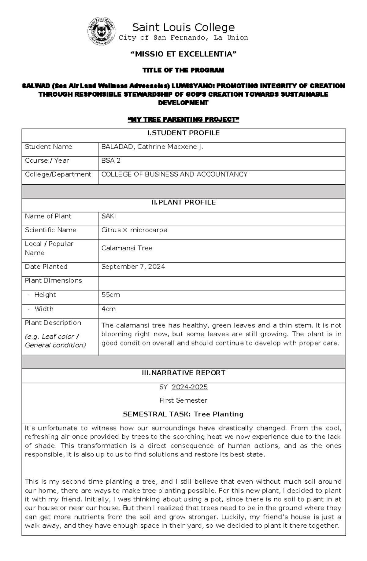 Format of TREE Parenting Project - Saint Louis College City of San ...