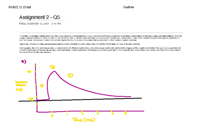 PNB 2XB3 - A2 Q5 - Assignment 2 - Question 5 Solution - Studocu