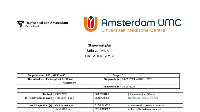 Stagewerkplan MIC: Ontwikkeling en Reflectie in de Zorgverlening ...